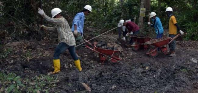 BBKSDA Provinsi Riau Awasi Pembersihan Limbah Minyak PLG Minas